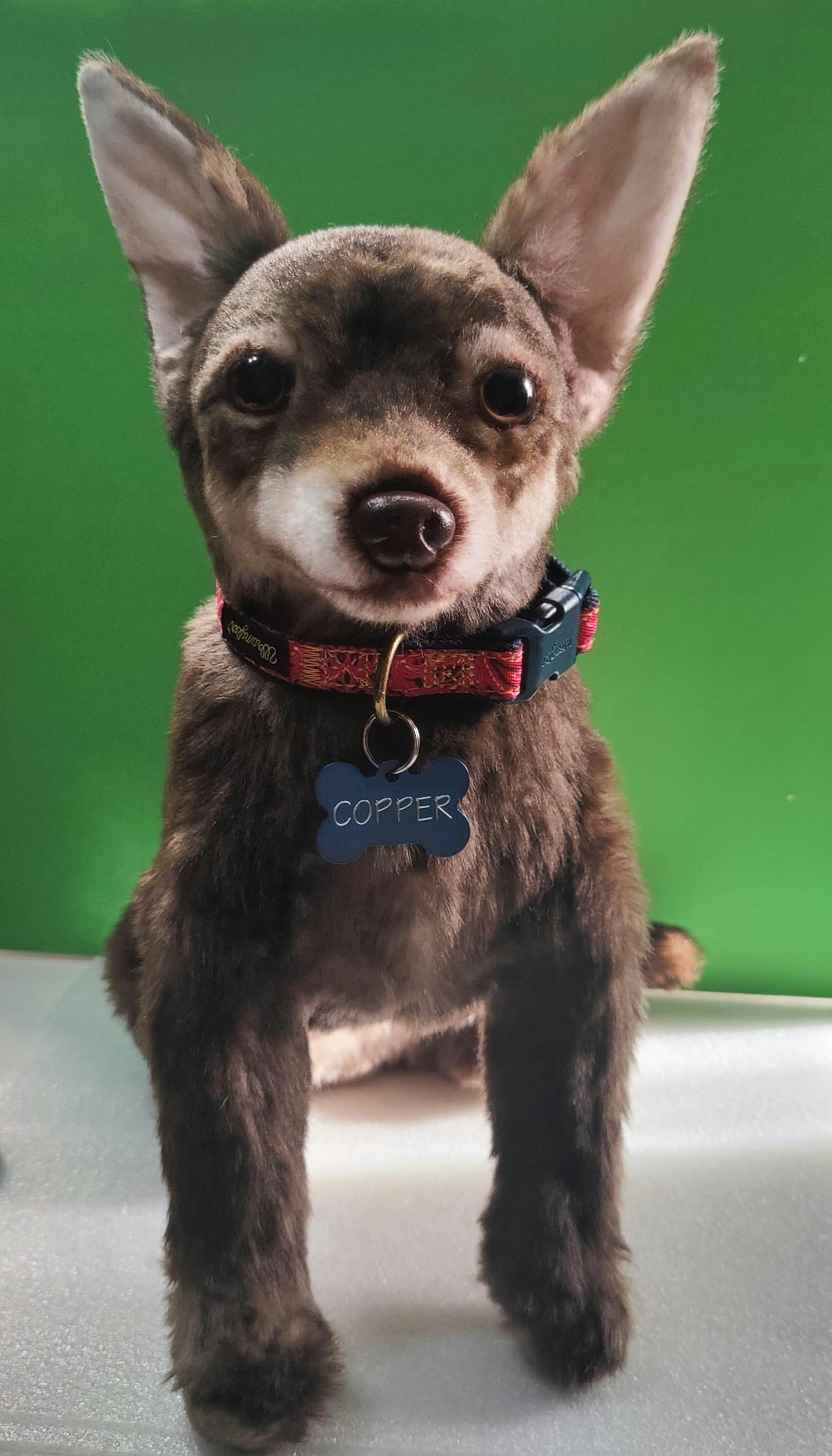 Stuffed Animal That Looks Like Your Pet | Customize a High-Quality Dog ...