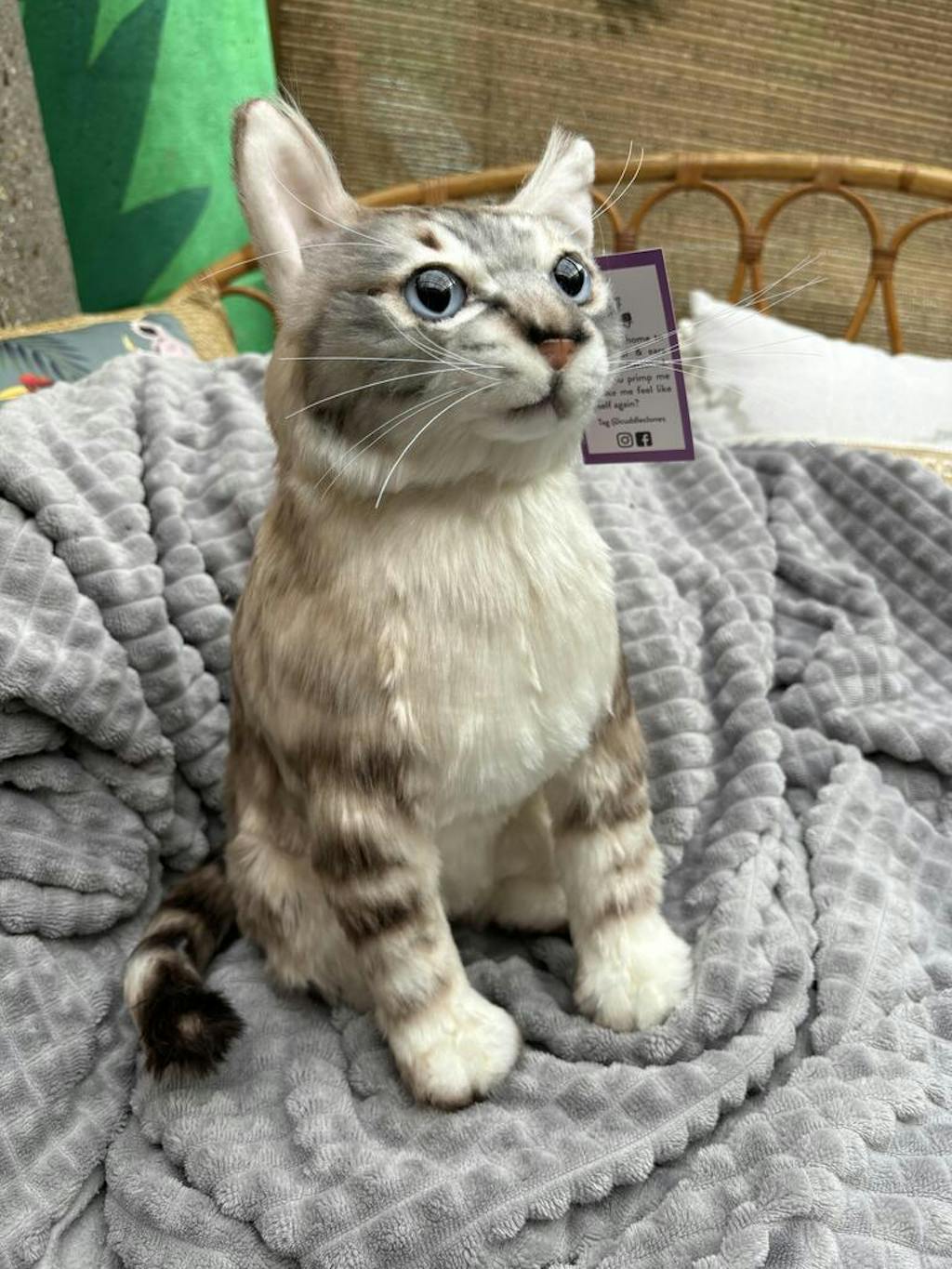 Product Reviews - Cuddle Clones