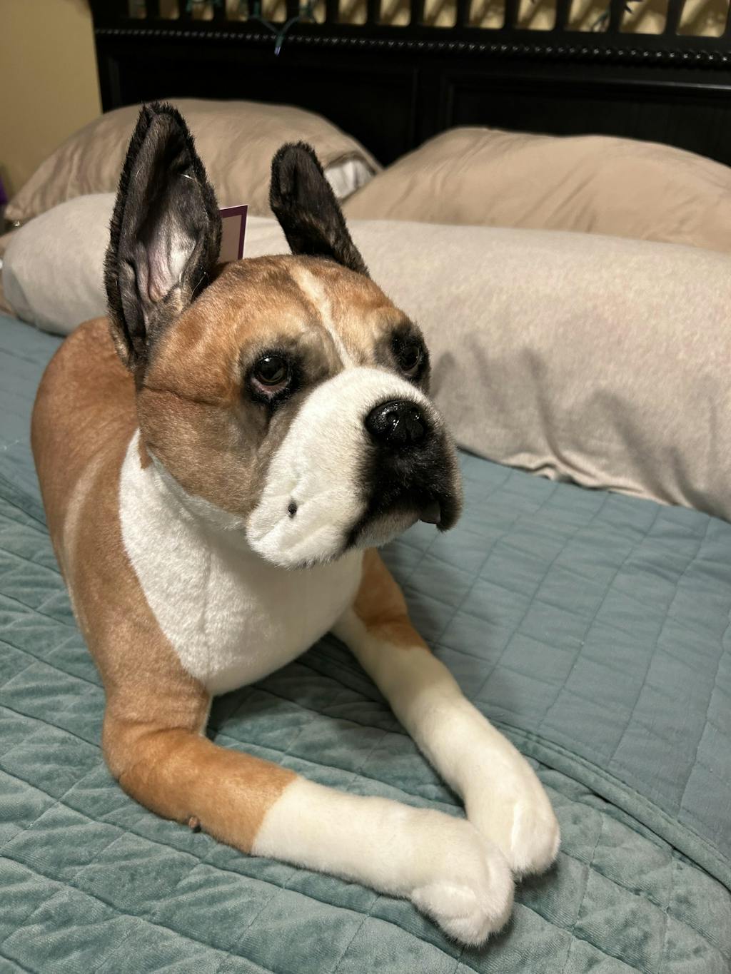 Product Reviews - Cuddle Clones