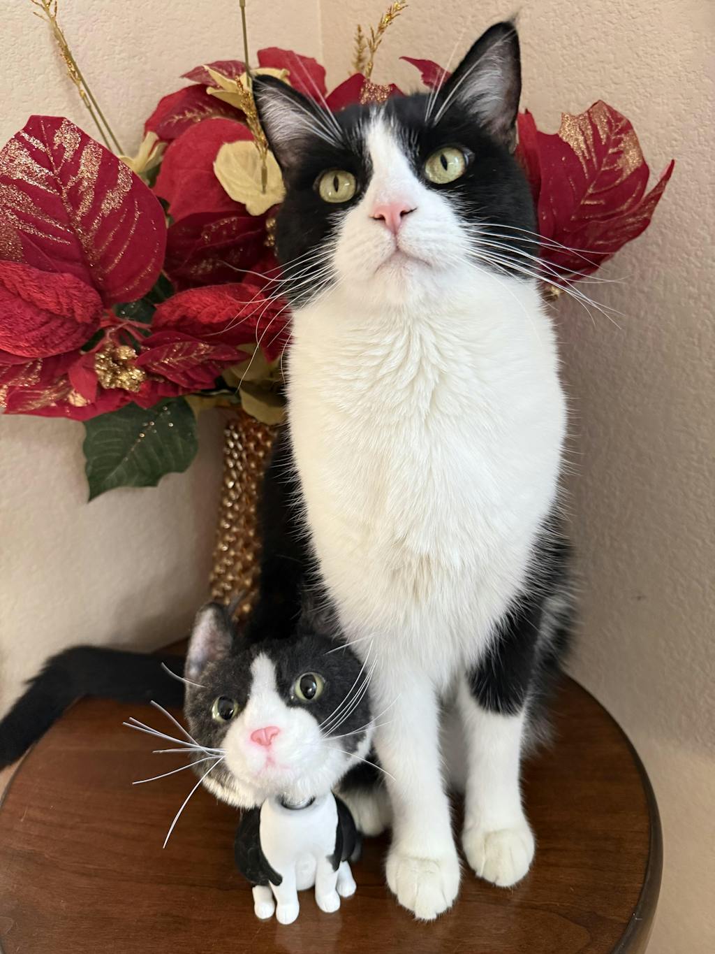 Custom Bobblehead - Cuddle Clones