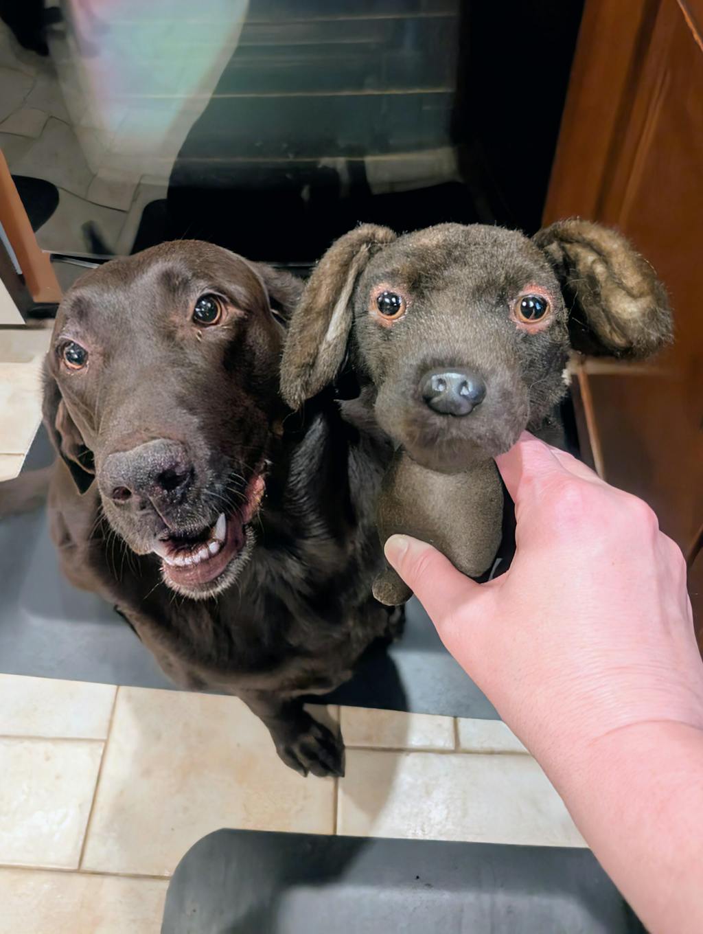 Custom Bobblehead - Cuddle Clones