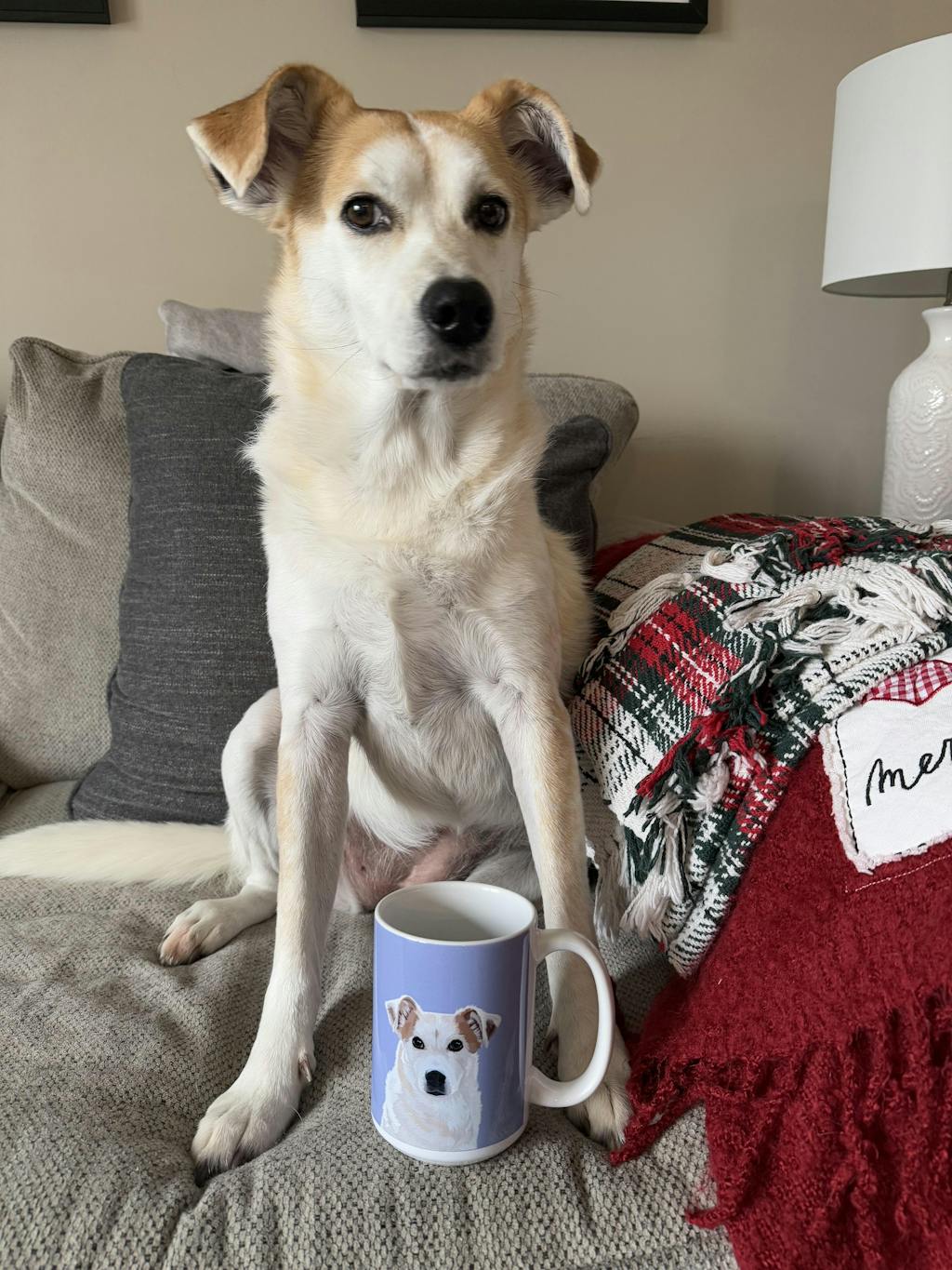 Custom Dog Mug | Create Personalized Dog Mugs and Custom Pet Mug ...