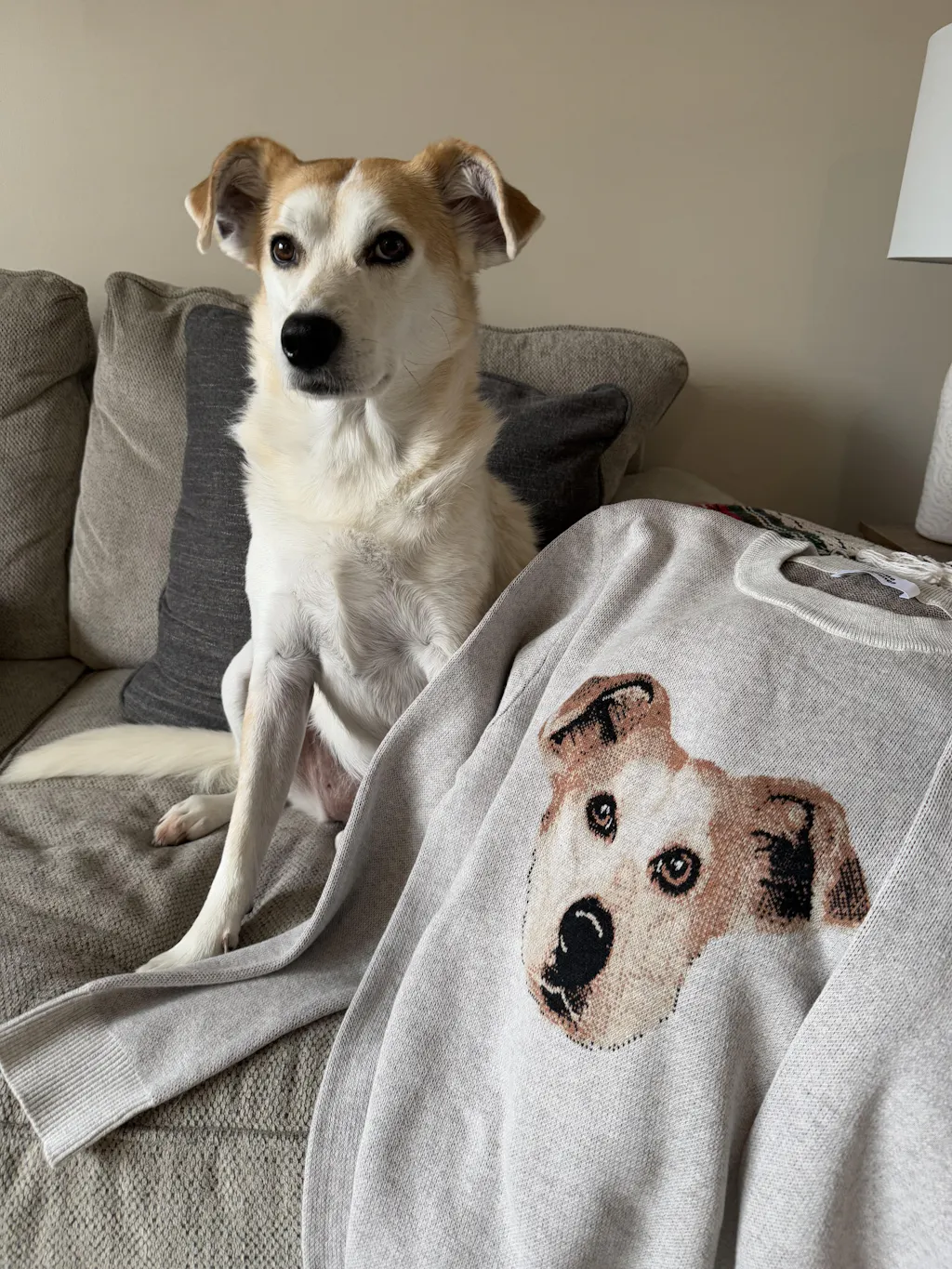 Custom Knit Pet Sweater - Cuddle Clones