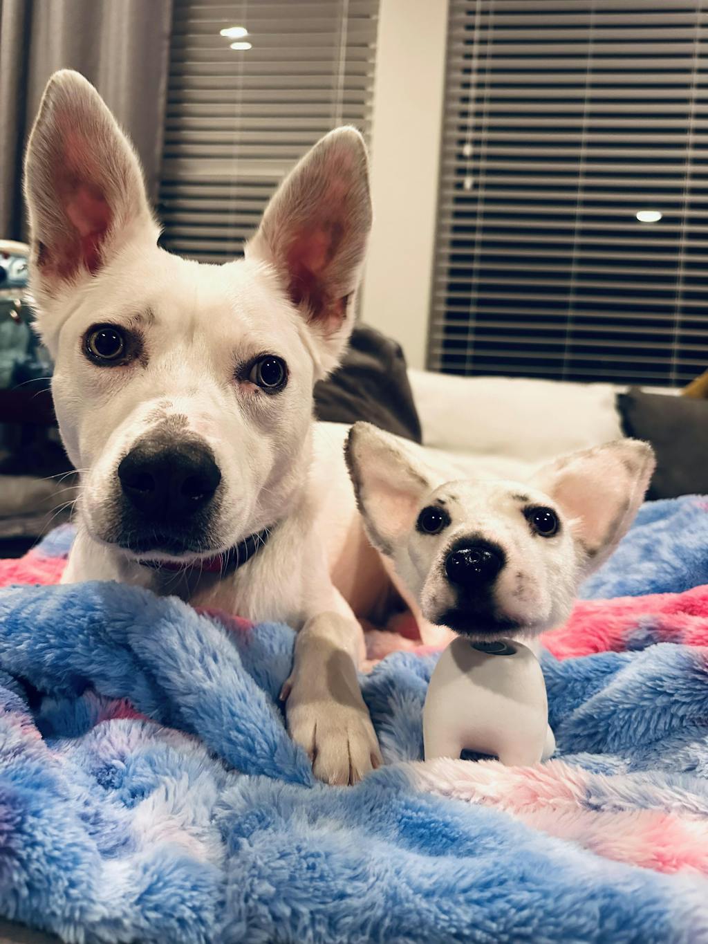 Custom Bobblehead - Cuddle Clones