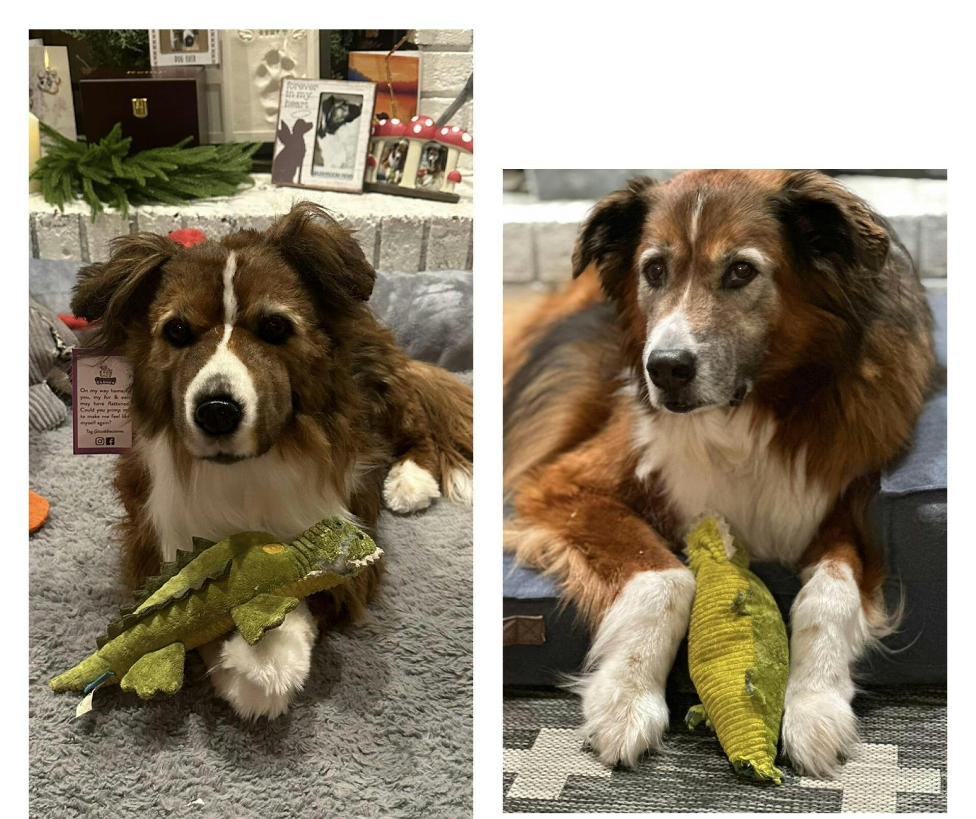 Product Reviews - Cuddle Clones