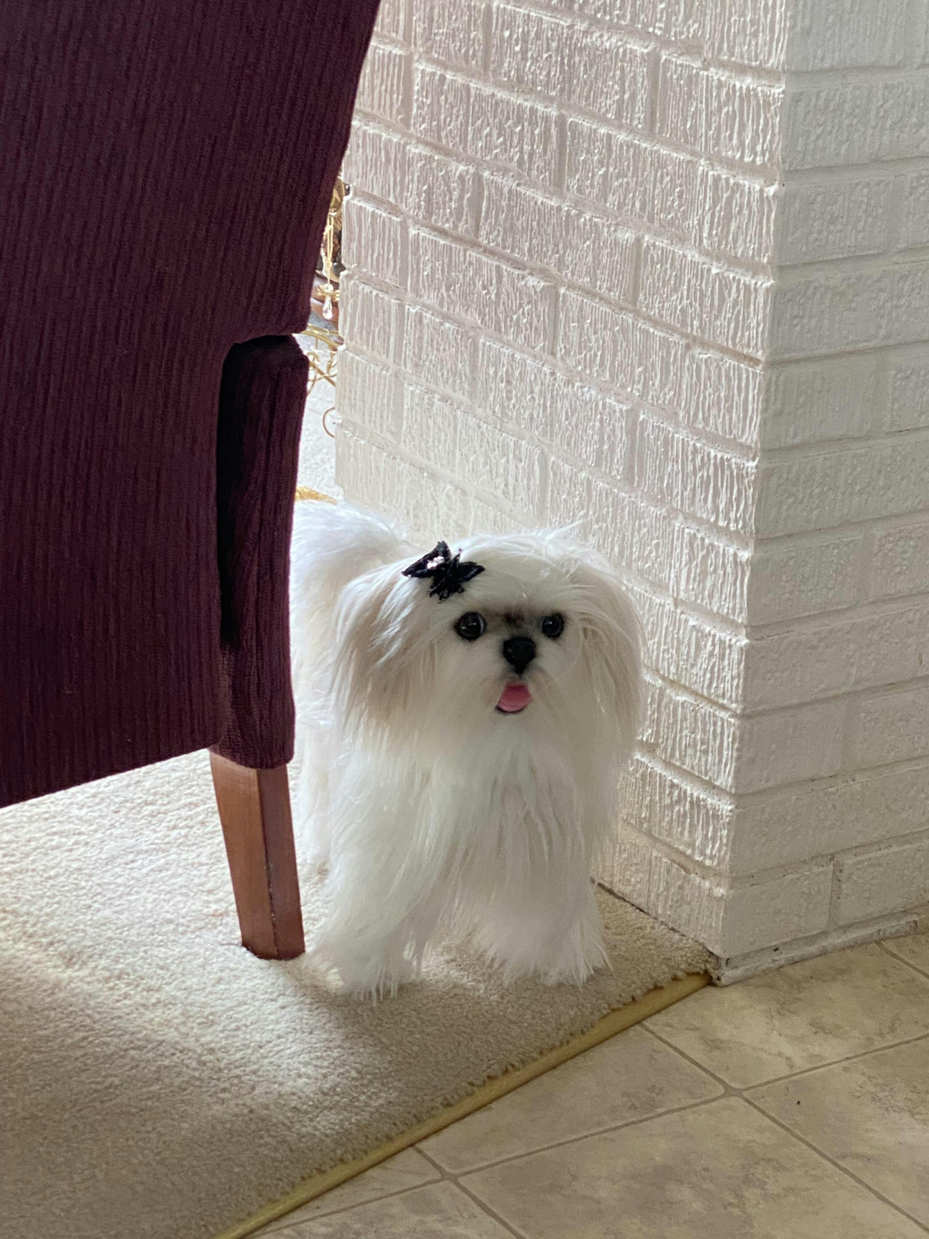 Product Reviews - Cuddle Clones