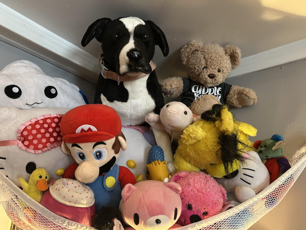 Stuffed Animal That Looks Like Your Pet | Customize a High-Quality Dog ...