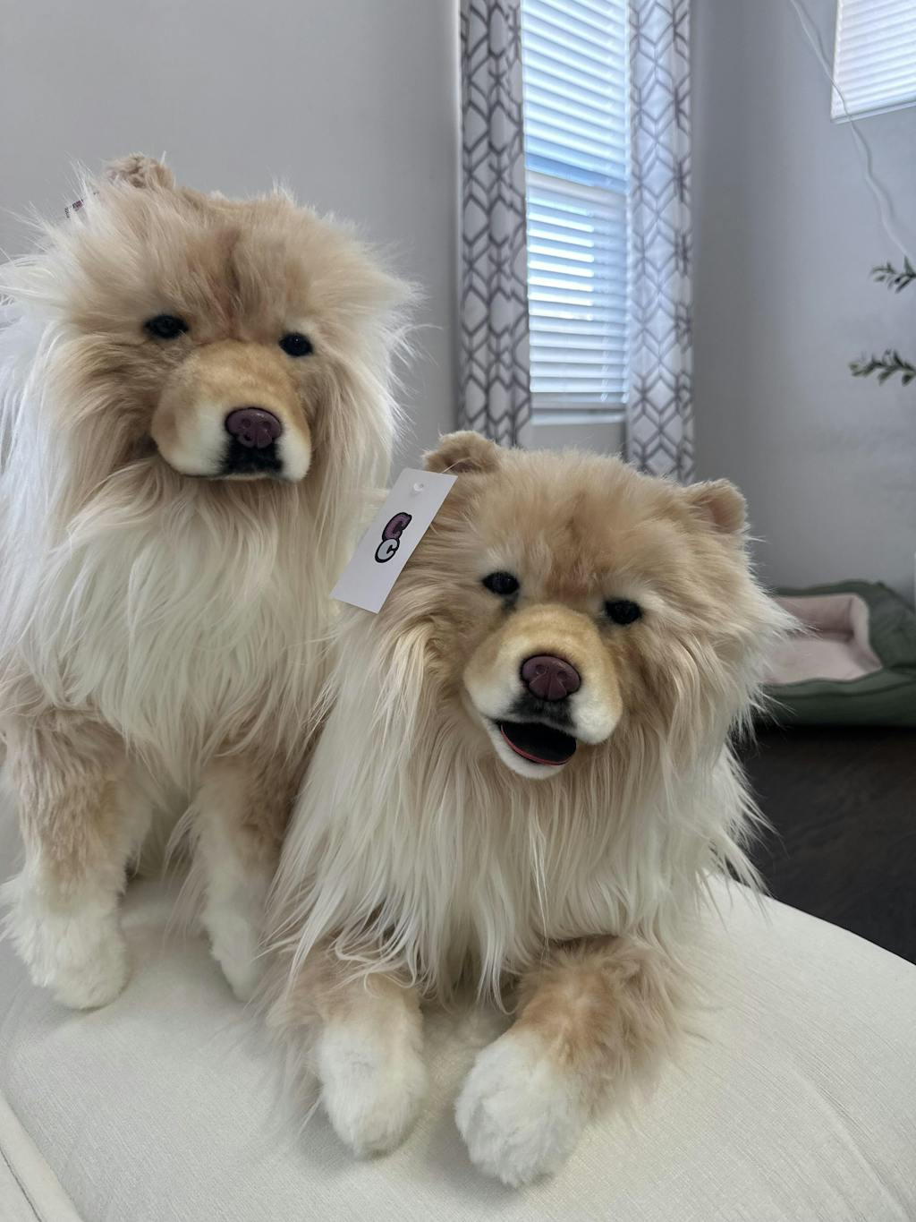 Stuffed Animal That Looks Like Your Pet | Customize a High-Quality Dog ...