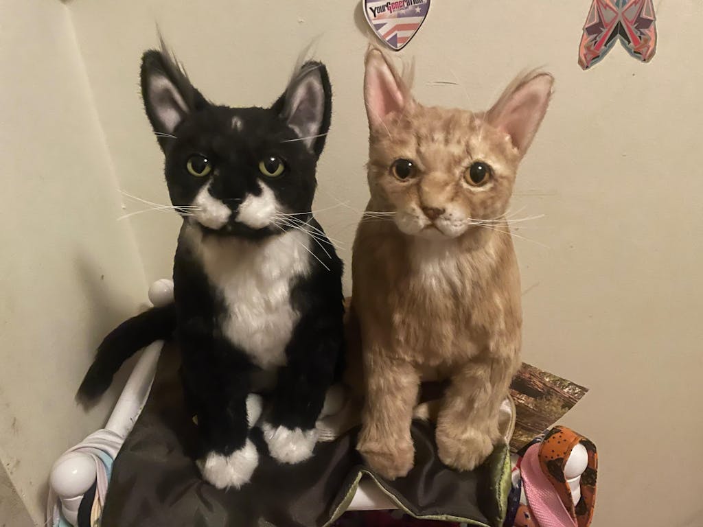 Stuffed Animal That Looks Like Your Pet | Customize a High-Quality Dog ...