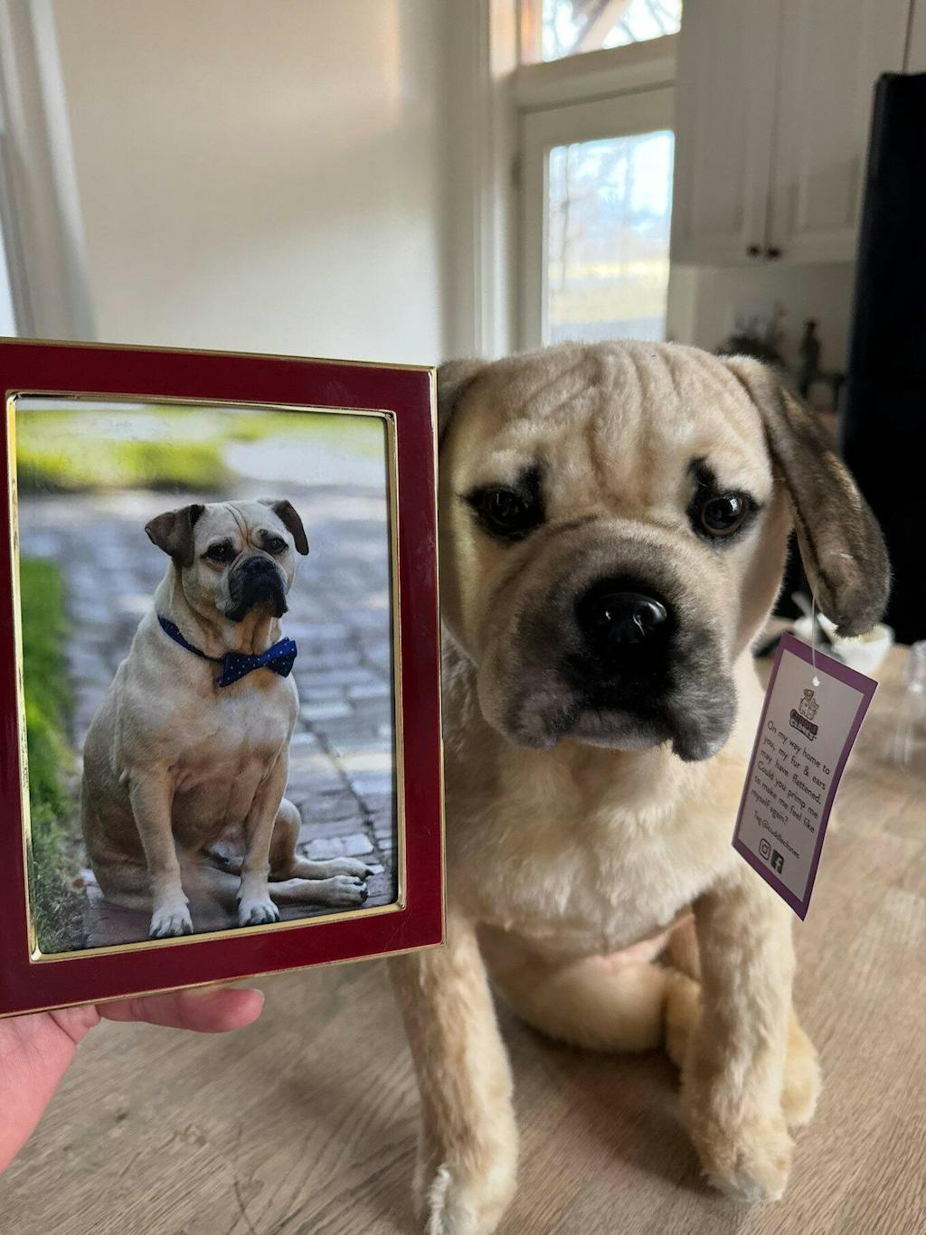 Cuddle Clones Holiday Gift Box