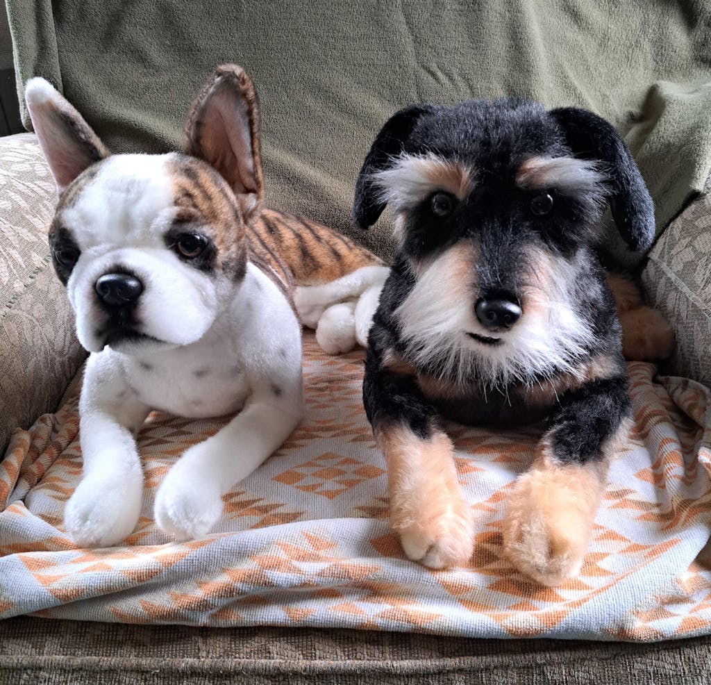 Stuffed Animal That Looks Like Your Pet | Customize a High-Quality Dog ...