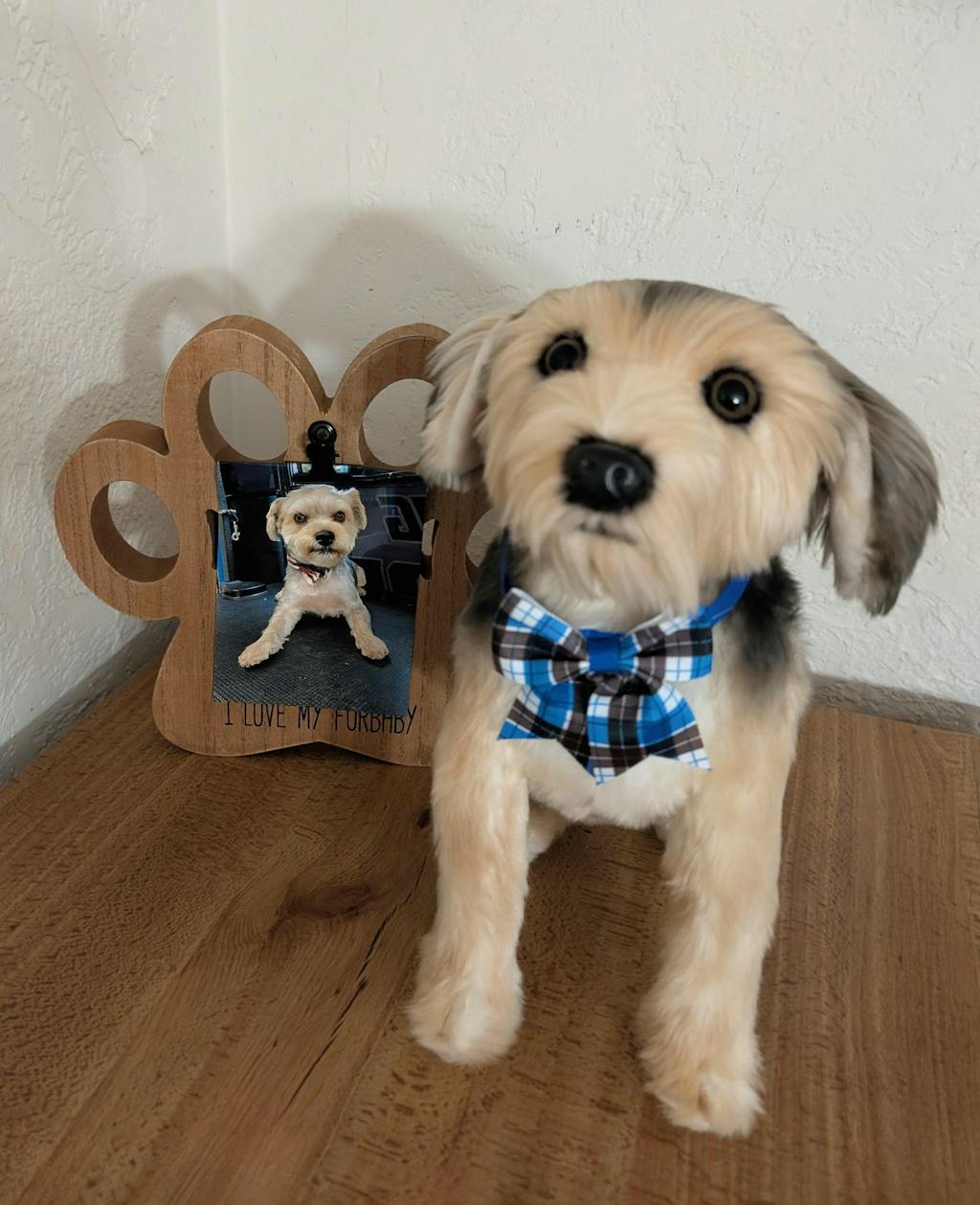 Product Reviews - Cuddle Clones