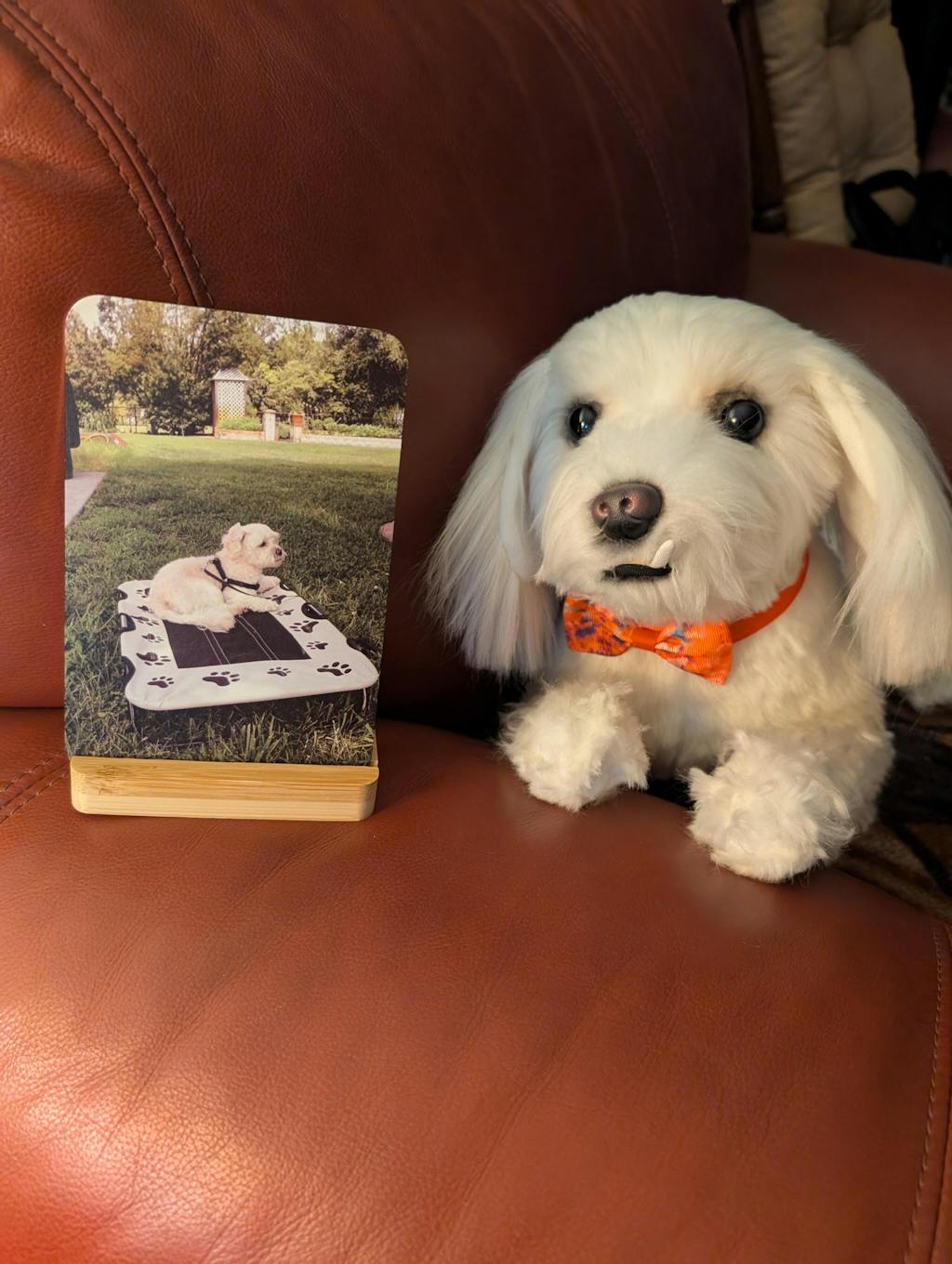 Product Reviews - Cuddle Clones