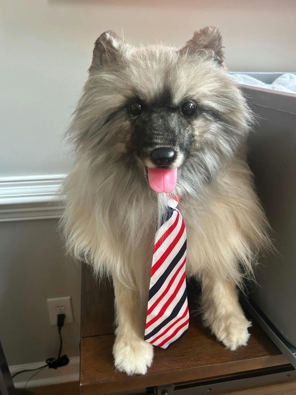 Product Reviews - Cuddle Clones