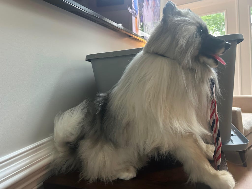 Product Reviews - Cuddle Clones