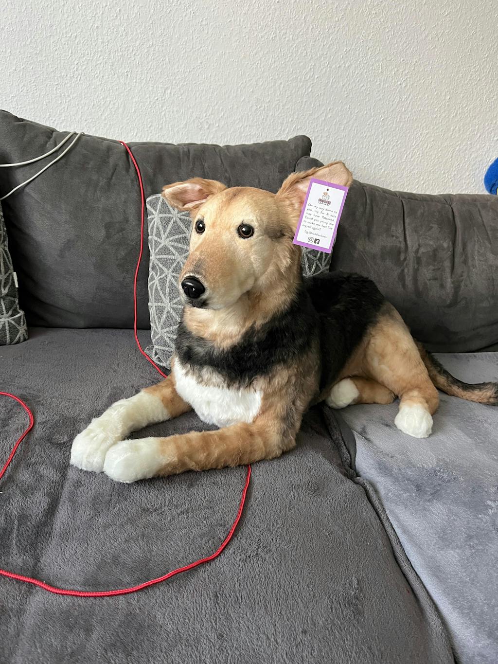 Product Reviews - Cuddle Clones