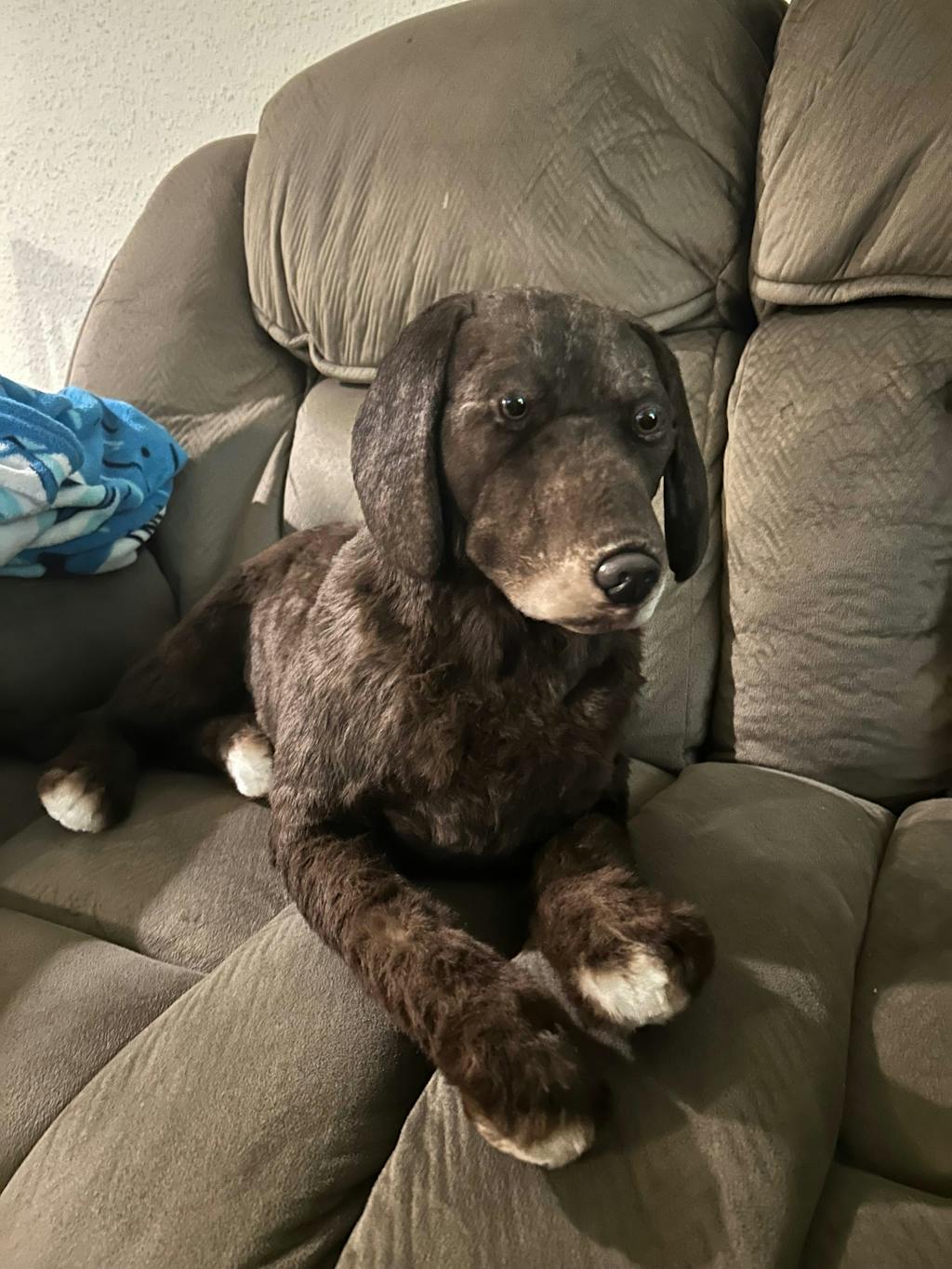 Product Reviews - Cuddle Clones