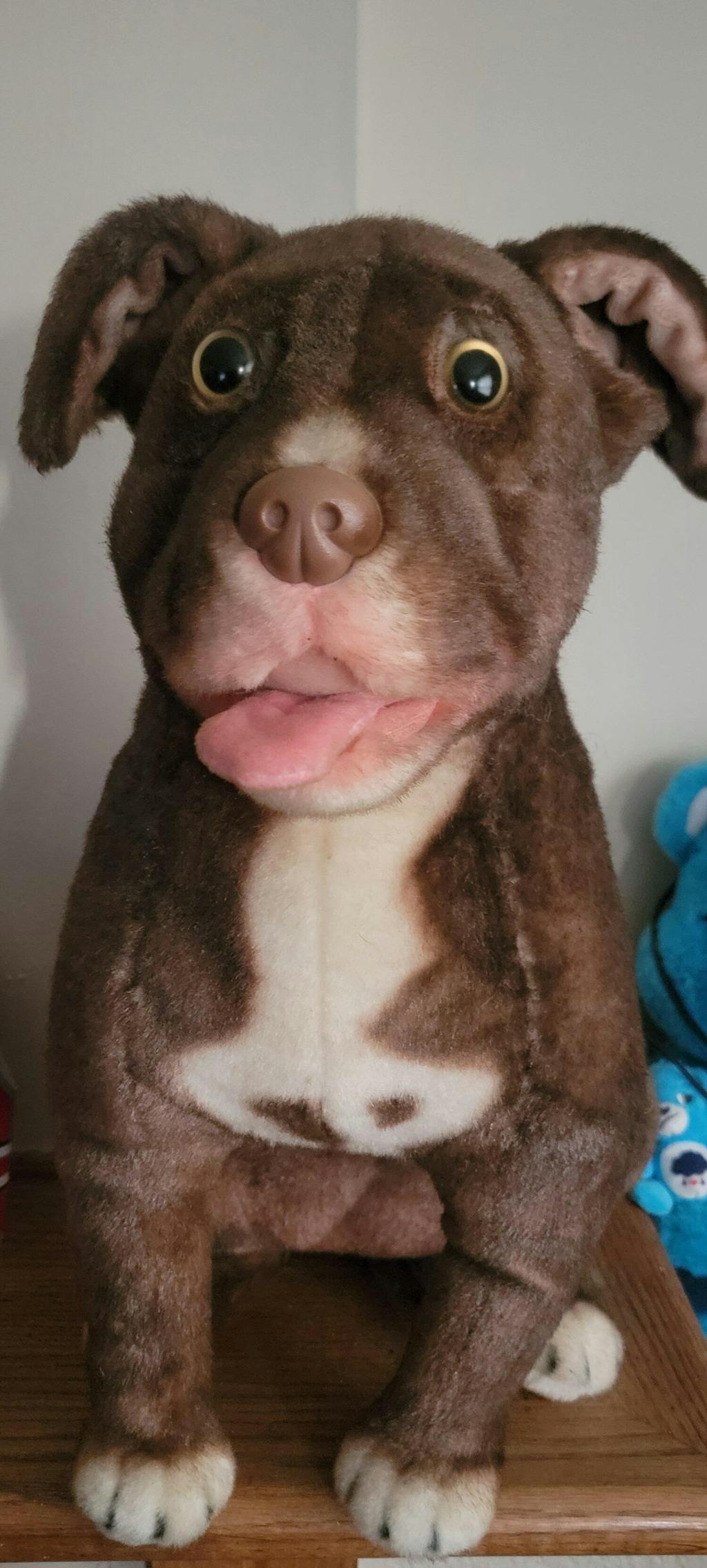 Product Reviews - Cuddle Clones