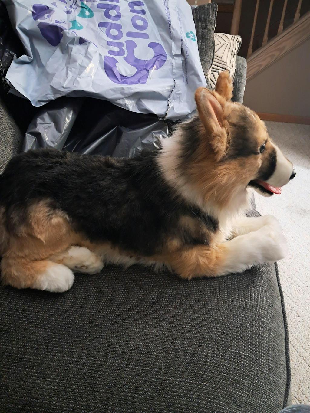 Product Reviews - Cuddle Clones