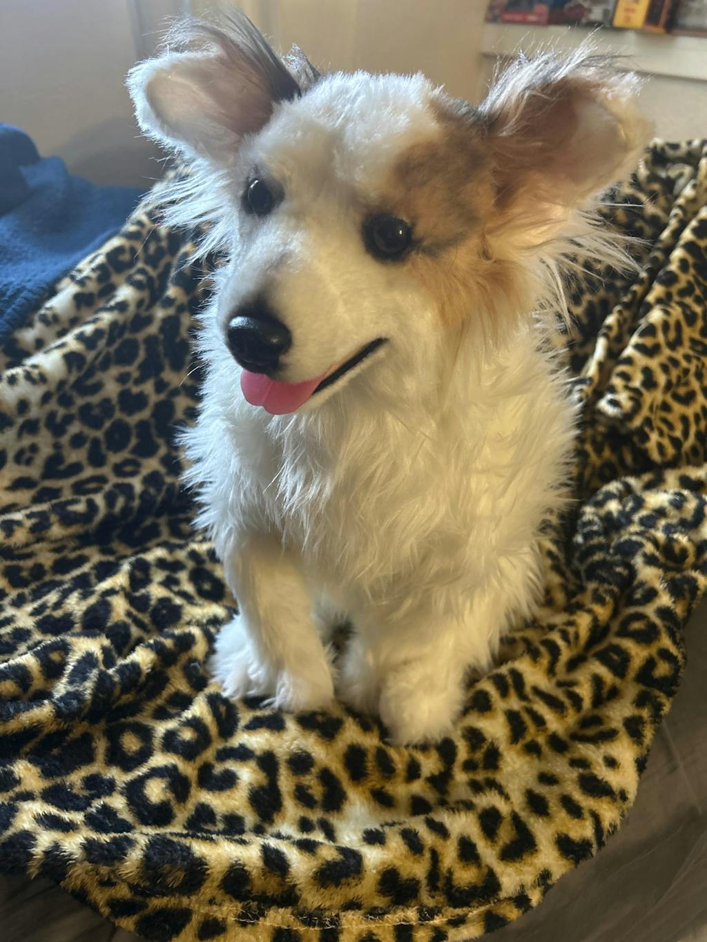 Product Reviews - Cuddle Clones