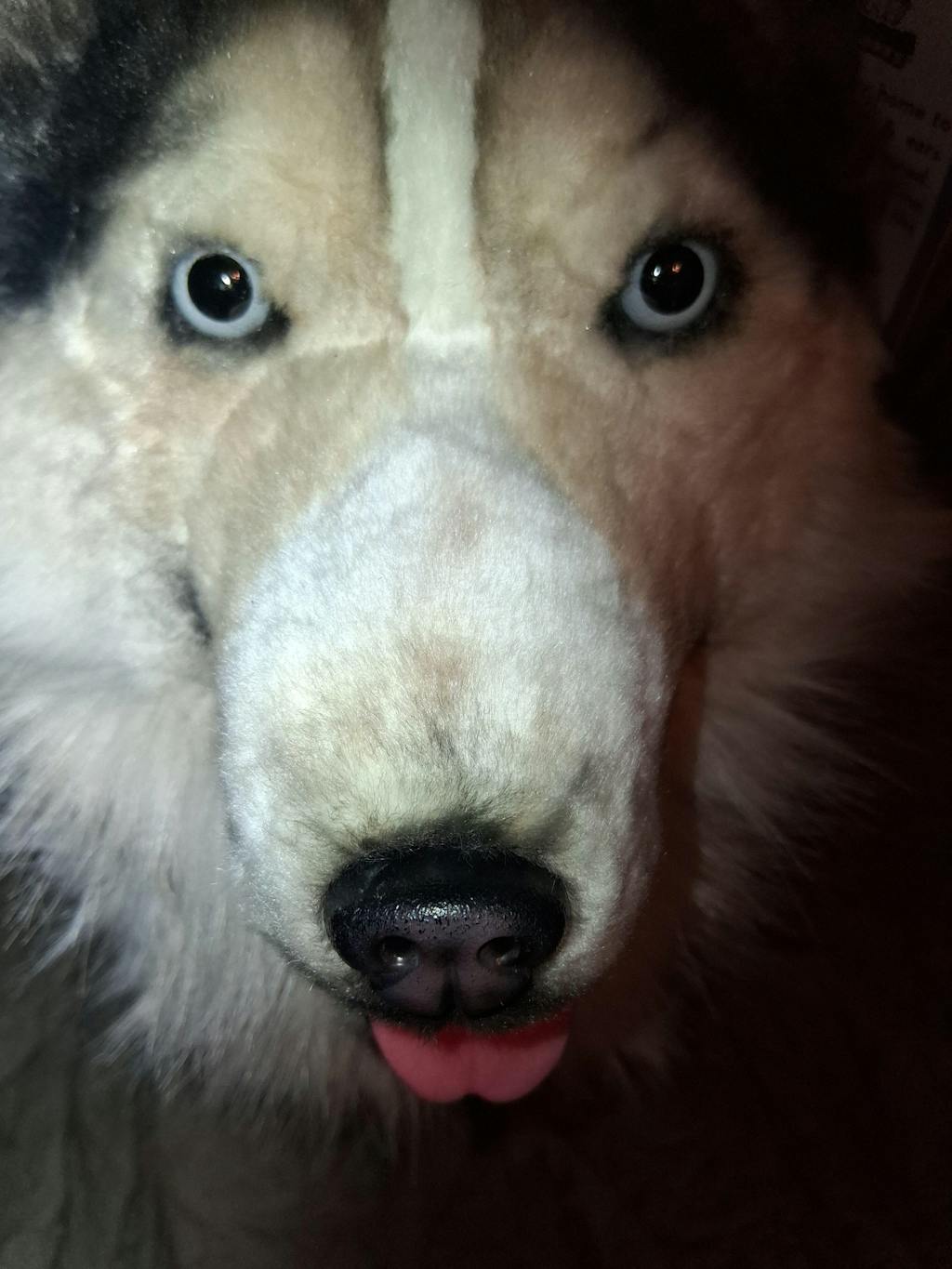 Product Reviews - Cuddle Clones