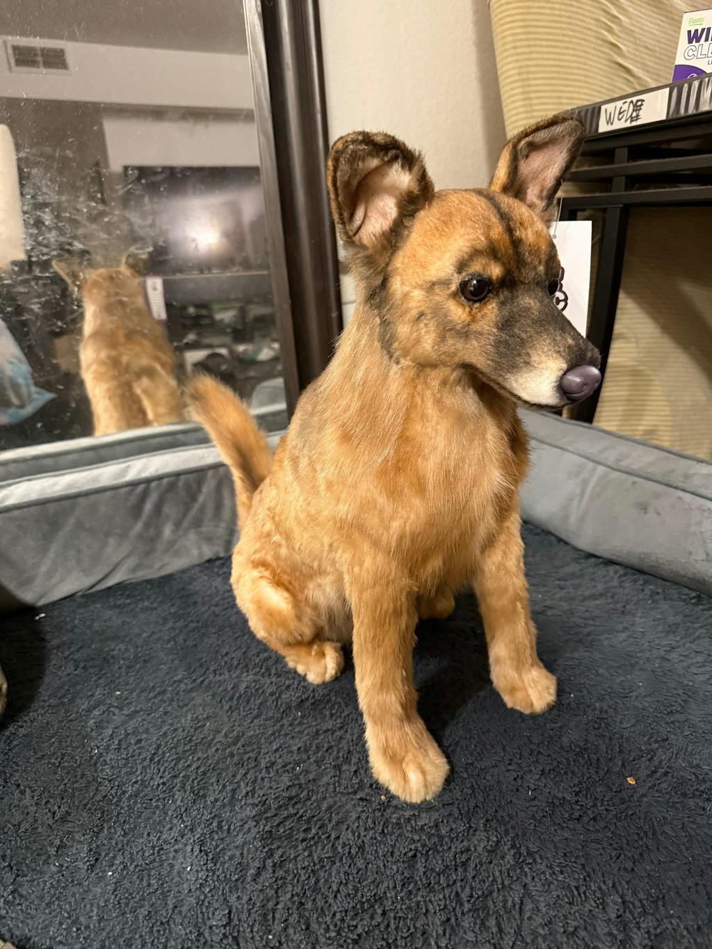 Product Reviews - Cuddle Clones