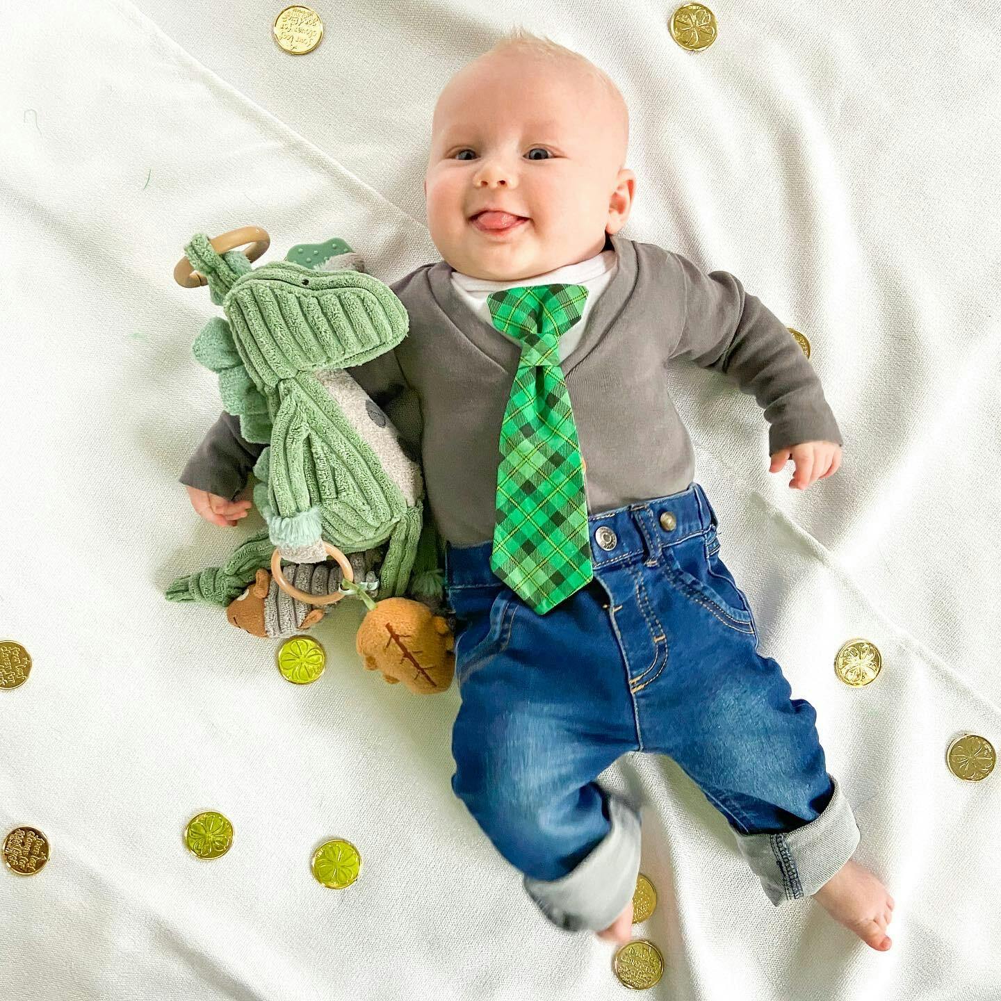 Robin's Egg Cardisuit - Cuddle Sleep Dream