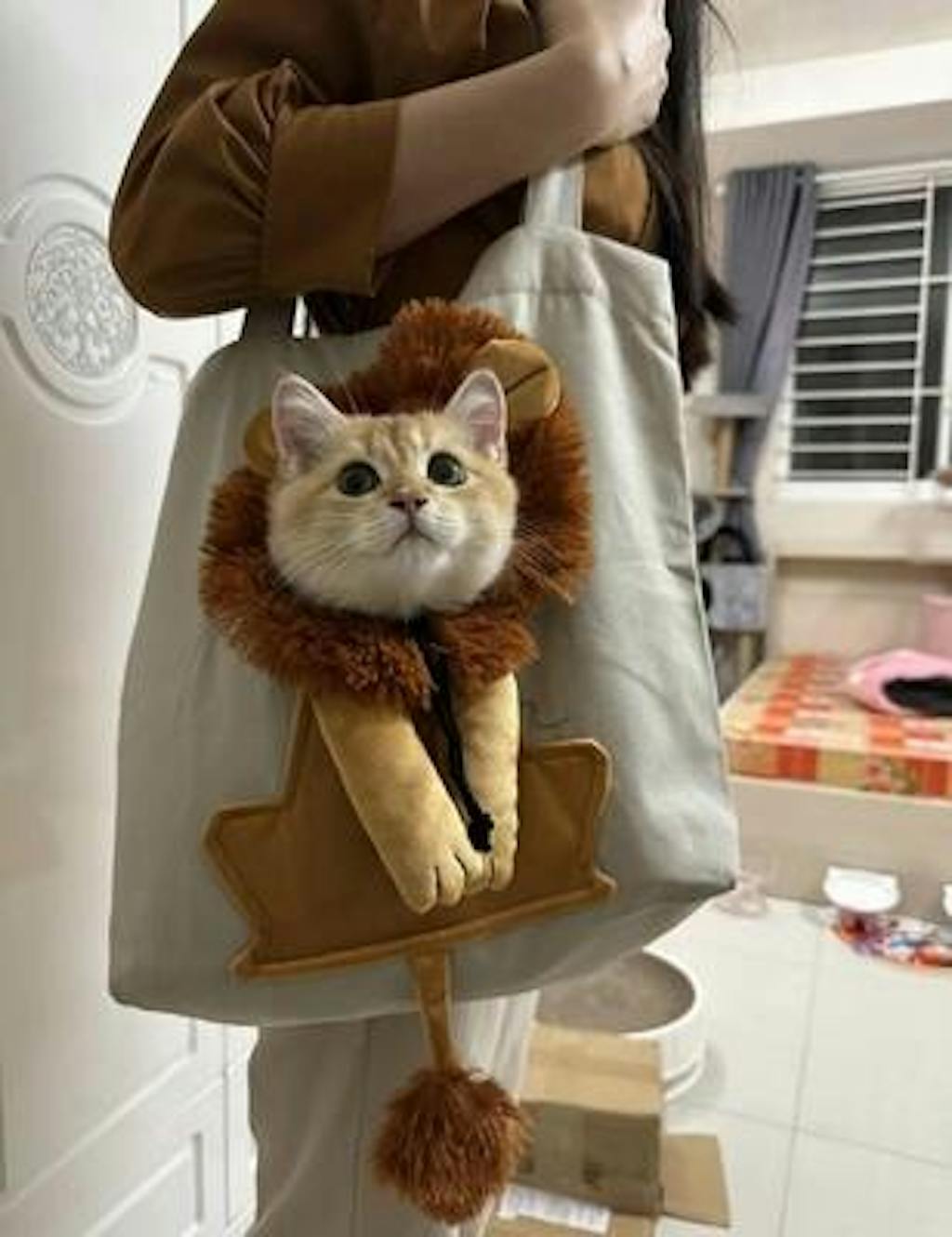 Lion Cat Bag