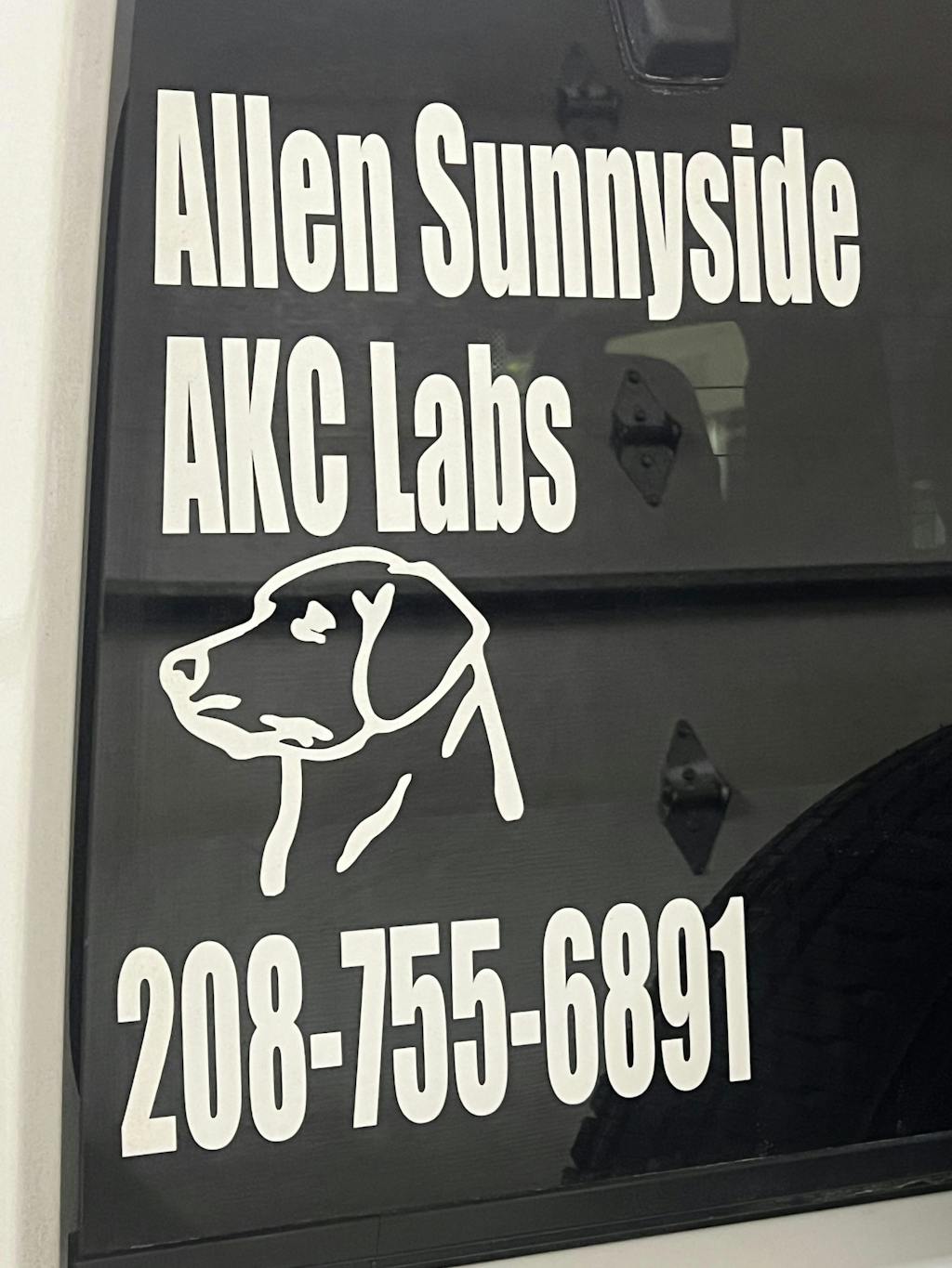 Custom Text Windshield Banner Decal Sticker | MADE IN USA