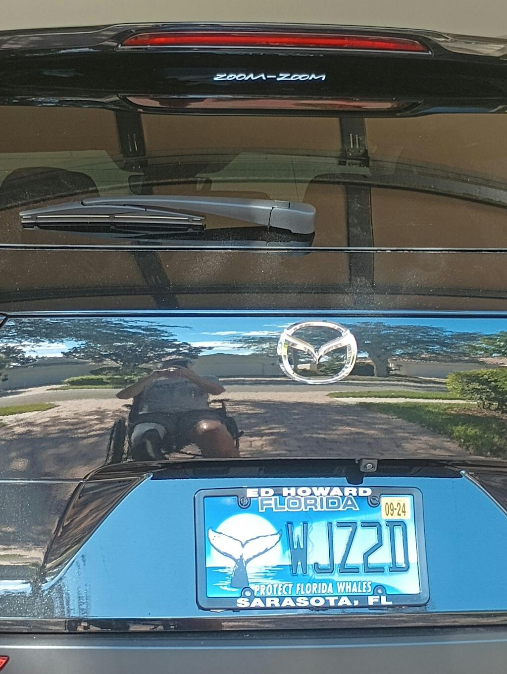 Zoom Zoom Mazda Miata Protege Rx7 Mx5 X2 Window Decal Sticker | Custom ...