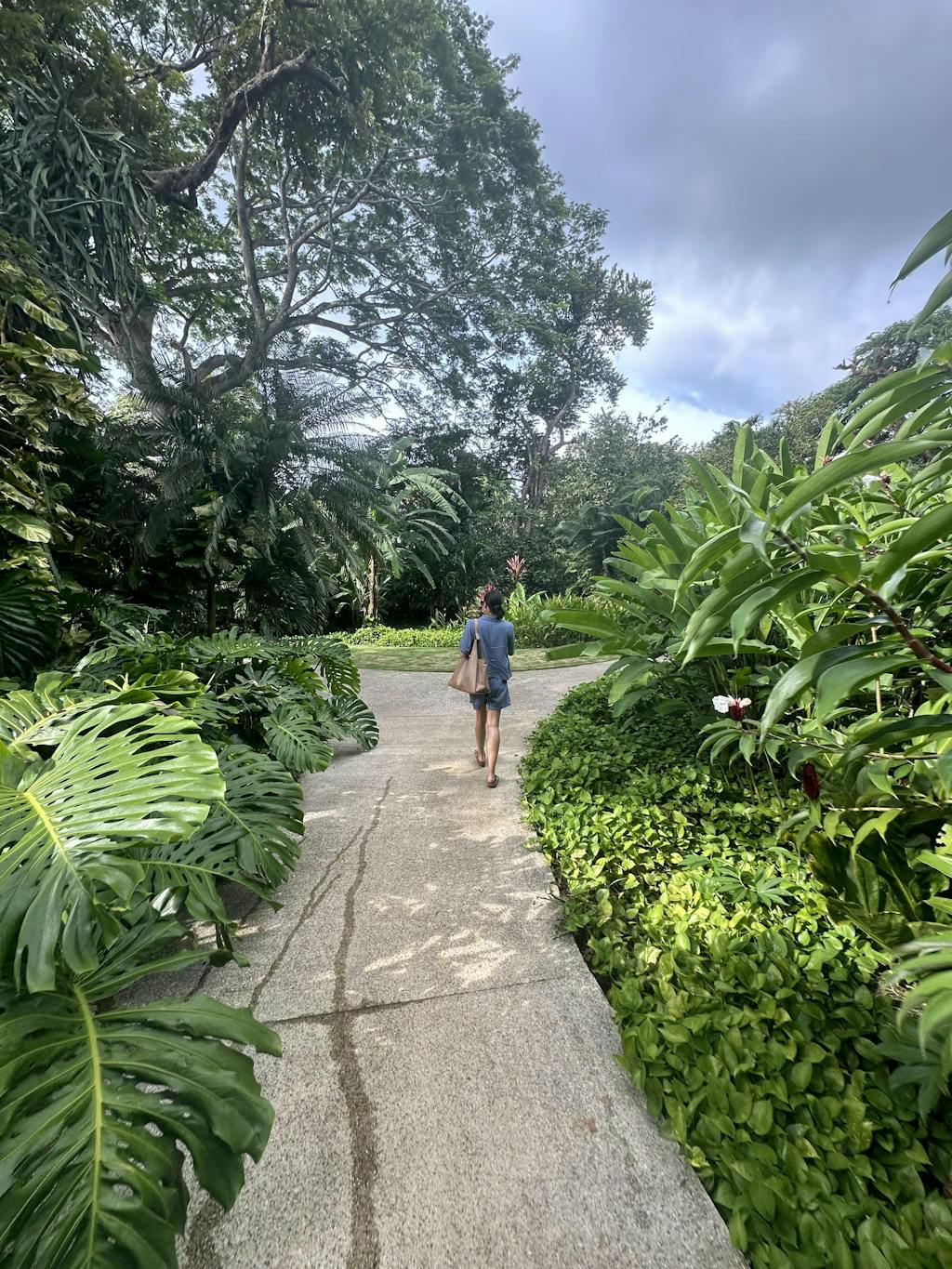 Double Loop Satchel – Cuyana