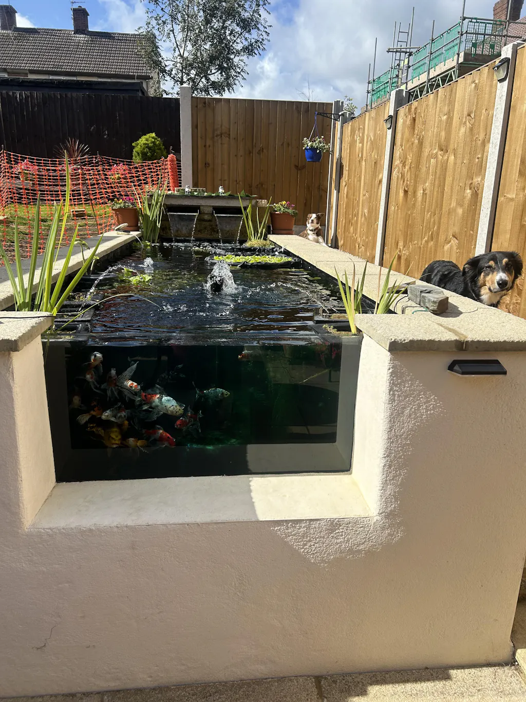 Pond Window Fitting Kit | Pond Pump And Filter - CWD Pond