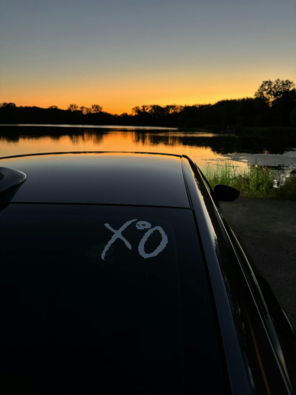 XO Skull Decal – CXOLLECTIVE