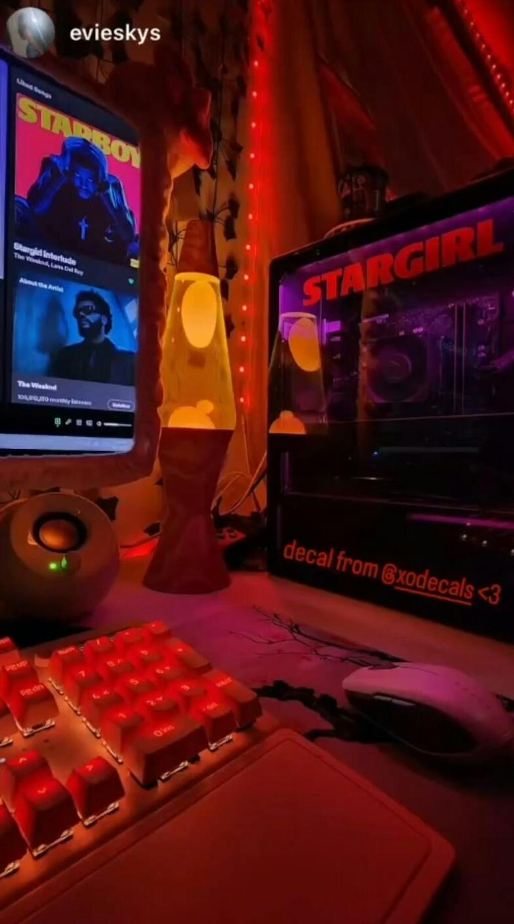 Stargirl Decal – CXOLLECTIVE