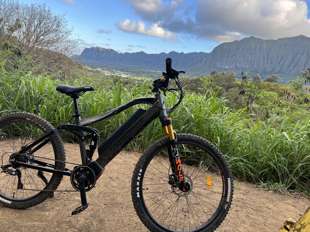 Cyberbike, USA, the high quality eMountain bike from America ...