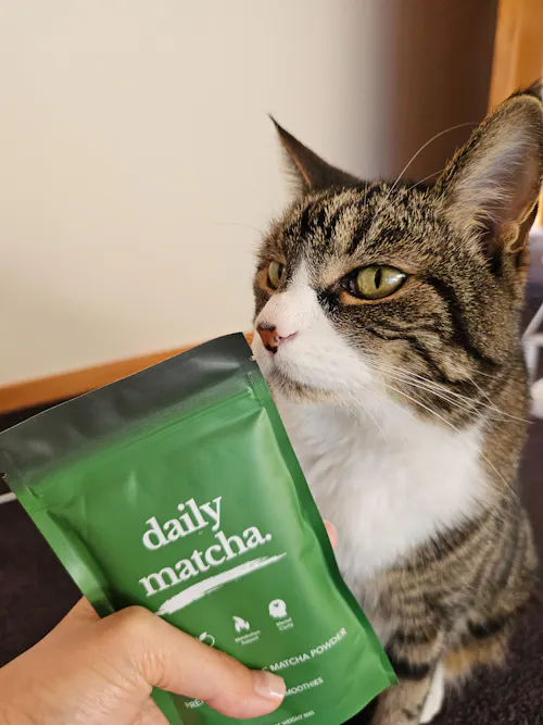 Daily Matcha NZ | Organic Matcha Powder for Natural Energy & Wellness