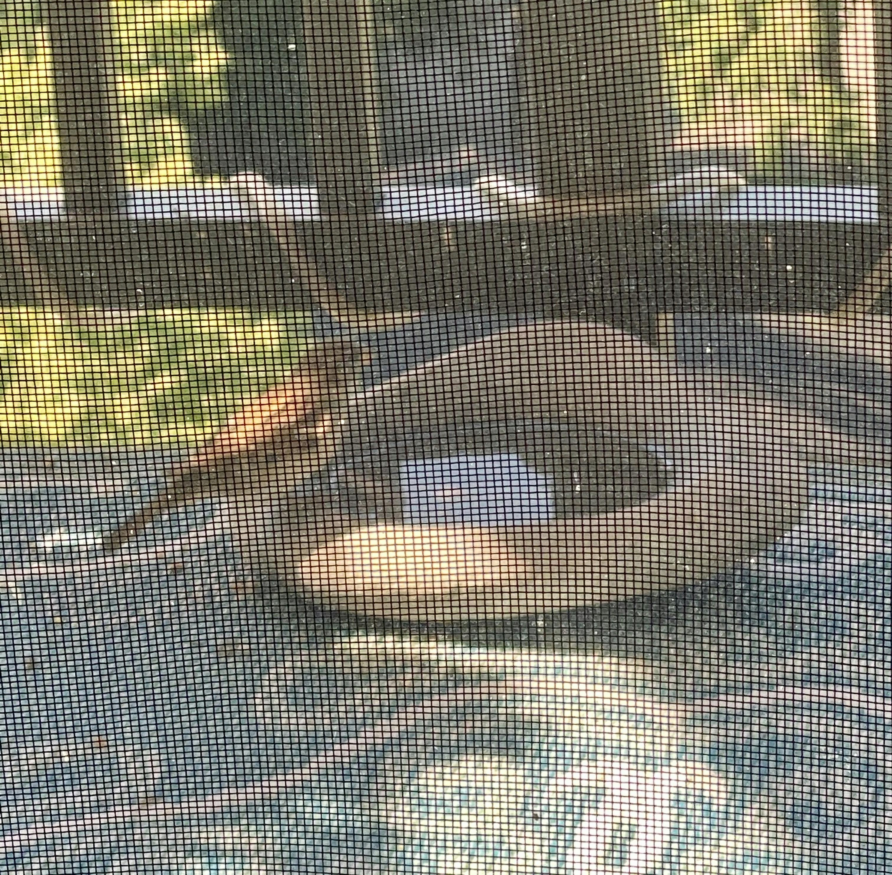Handcrafted Natural Riverstone Bird Bath for Balcony, Patio, Garden or ...
