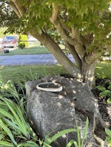 Handmade River Stone Bird Bath for Balcony, Patio, Garden or Yard ...