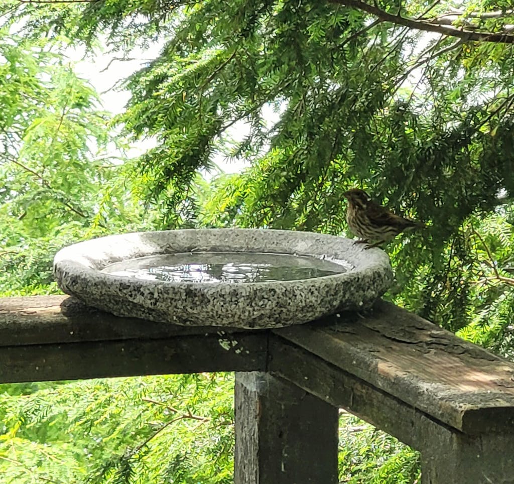 Handmade River Stone Bird Bath for Balcony, Patio, Garden or Yard ...