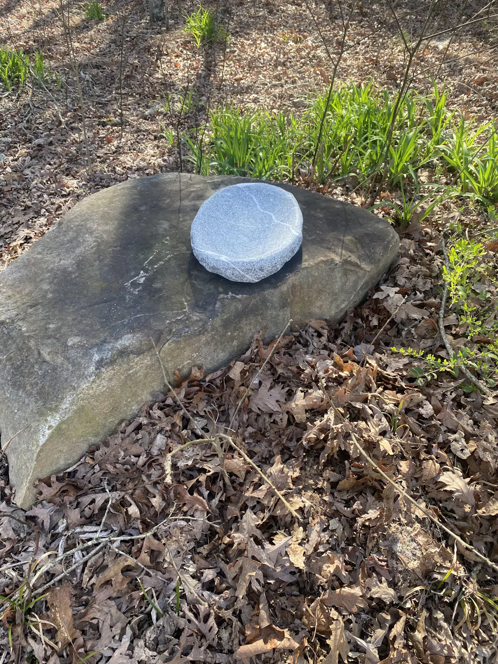 **NEW** Puddle Stones – Dances With Stone