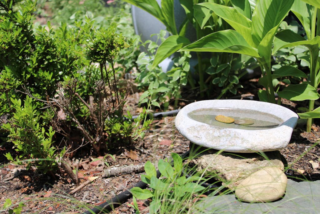 Handmade River Stone Bird Bath for Balcony, Patio, Garden or Yard ...