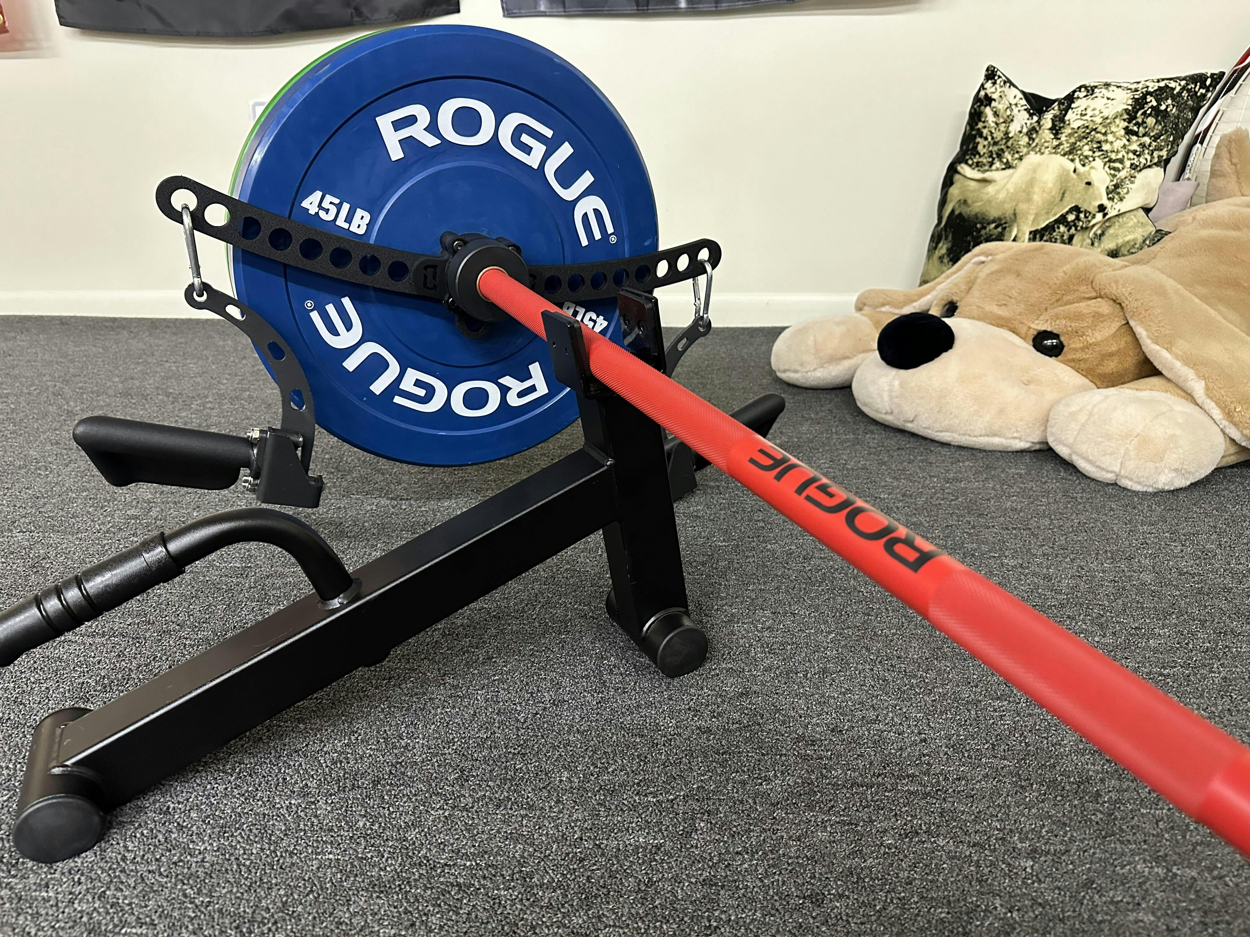 The Shorty Bar – Darko Lifting