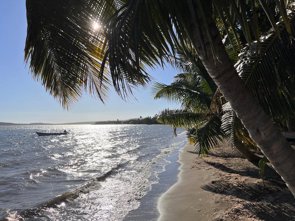 Day Three Fragrances , Luxury Perfumes