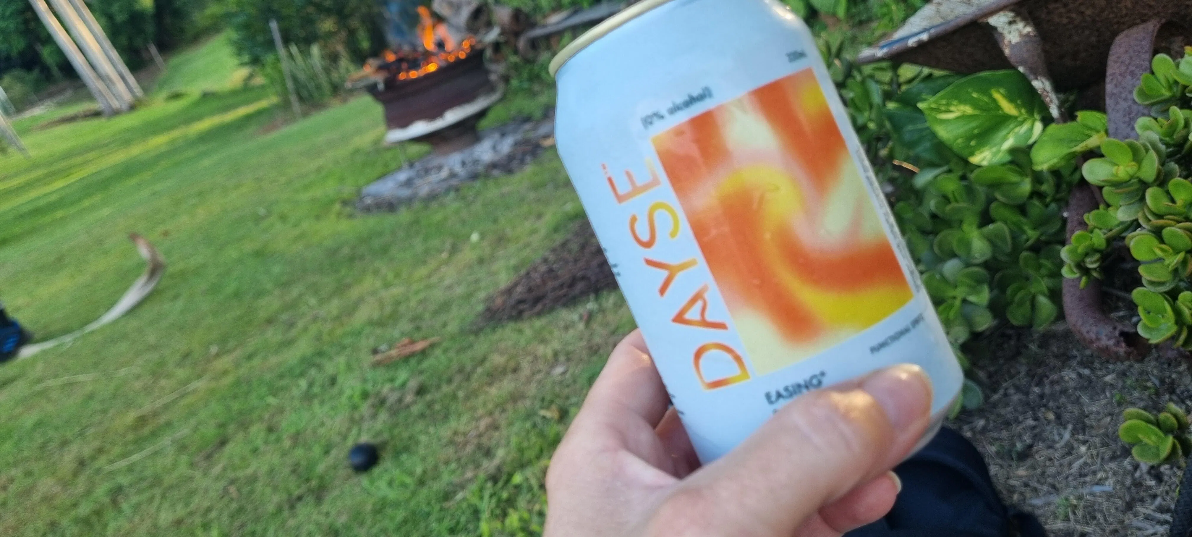 DAYSE FUNCTIONAL SPRITZERS | SHOP EASING | Dayse
