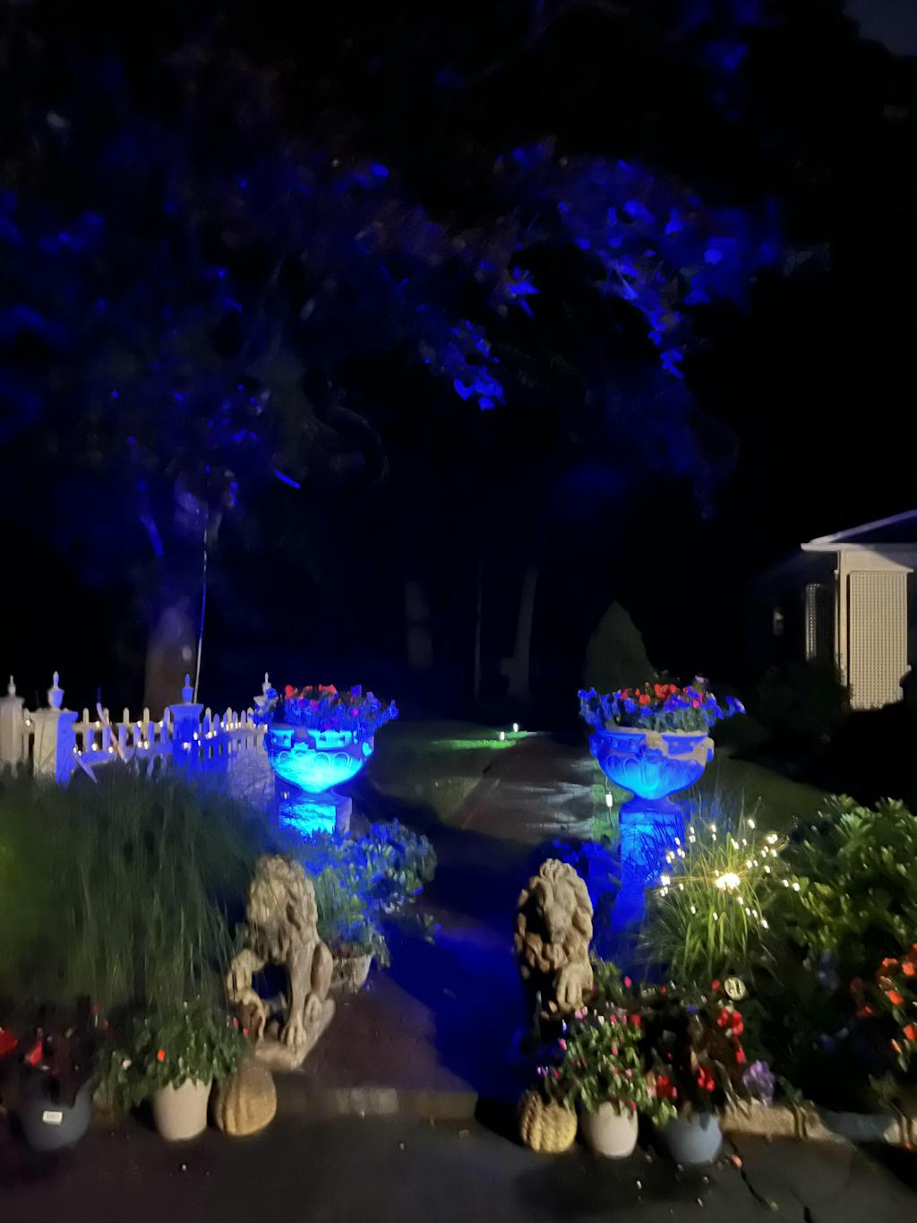 2-Pcs Stellar Burst Solar LED Lights 200 Dazzling LEDs – Dazuma