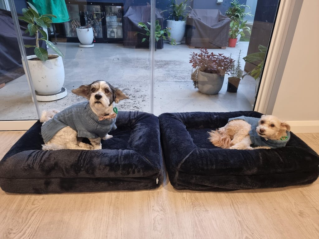 Cover - Plush Grey – Dazy Dog