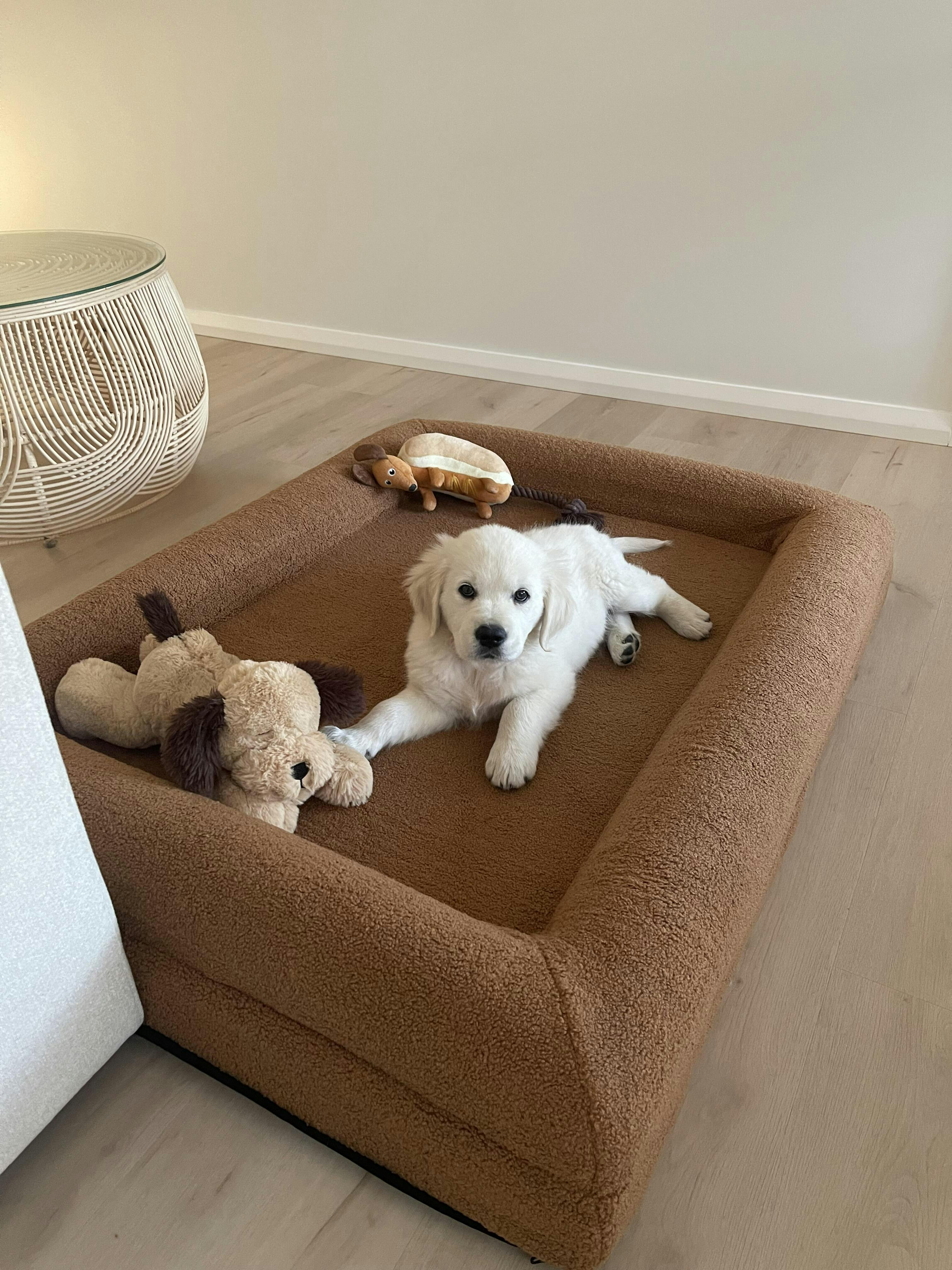 Memory Foam Dog Bed - Polar Fleece Olive – Dazy Dog