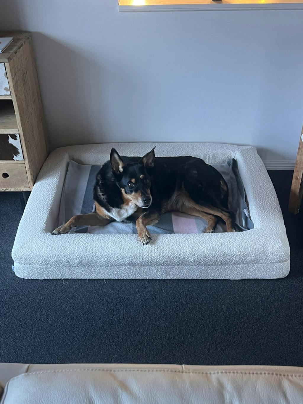 Memory Foam Dog Bed - Boucle Terracotta – Dazy Dog