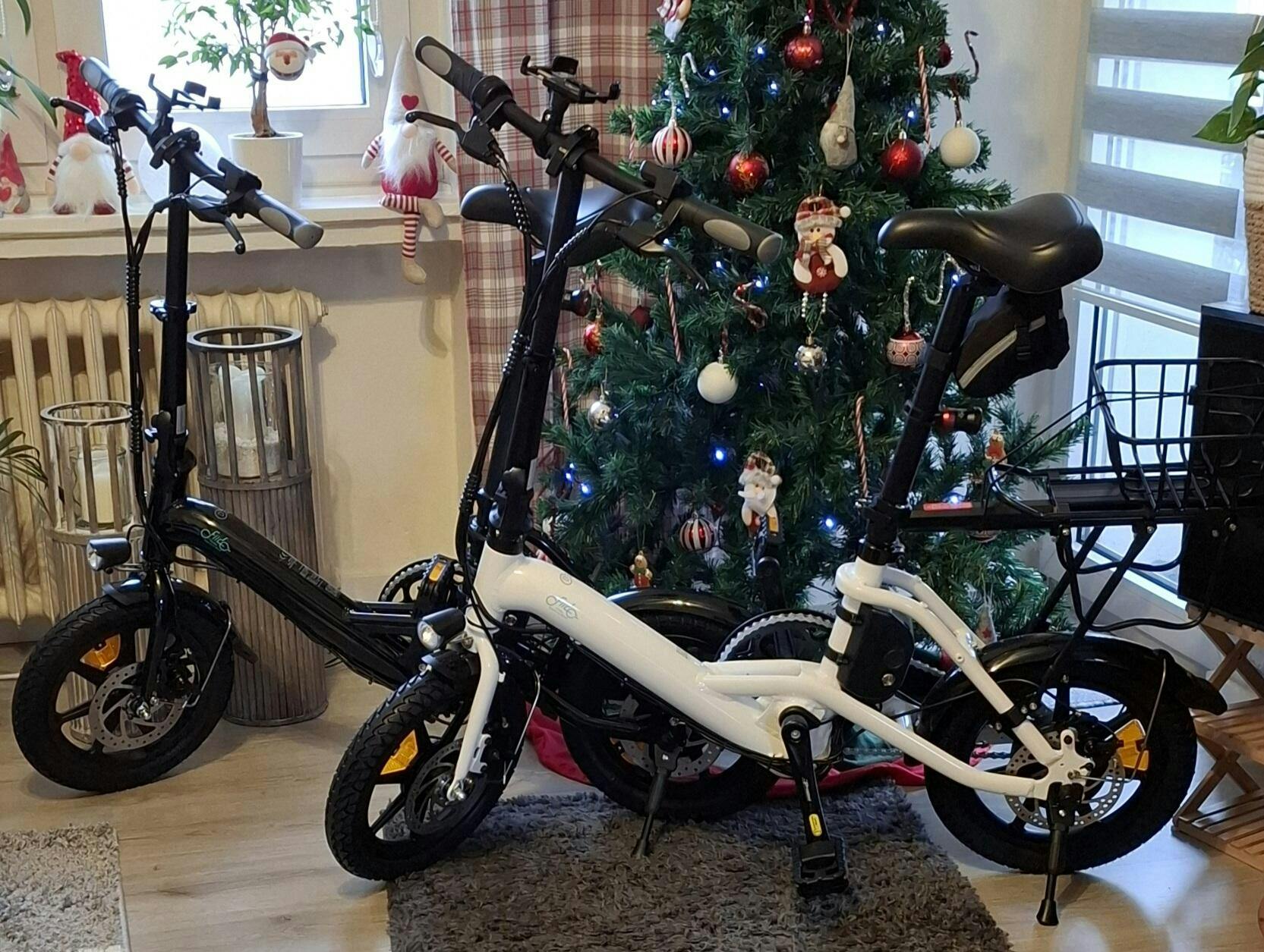 Fiido D3 Pro - Erschwingliches Mini-Ebike für Stadt und Freizeit