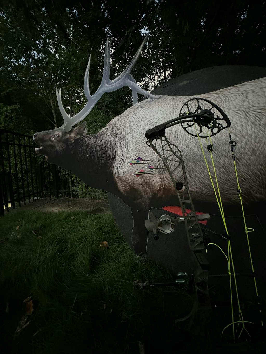 2D Bull Elk Broadside Target